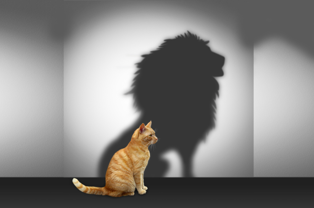 HuMetis Group - Technology for everyone